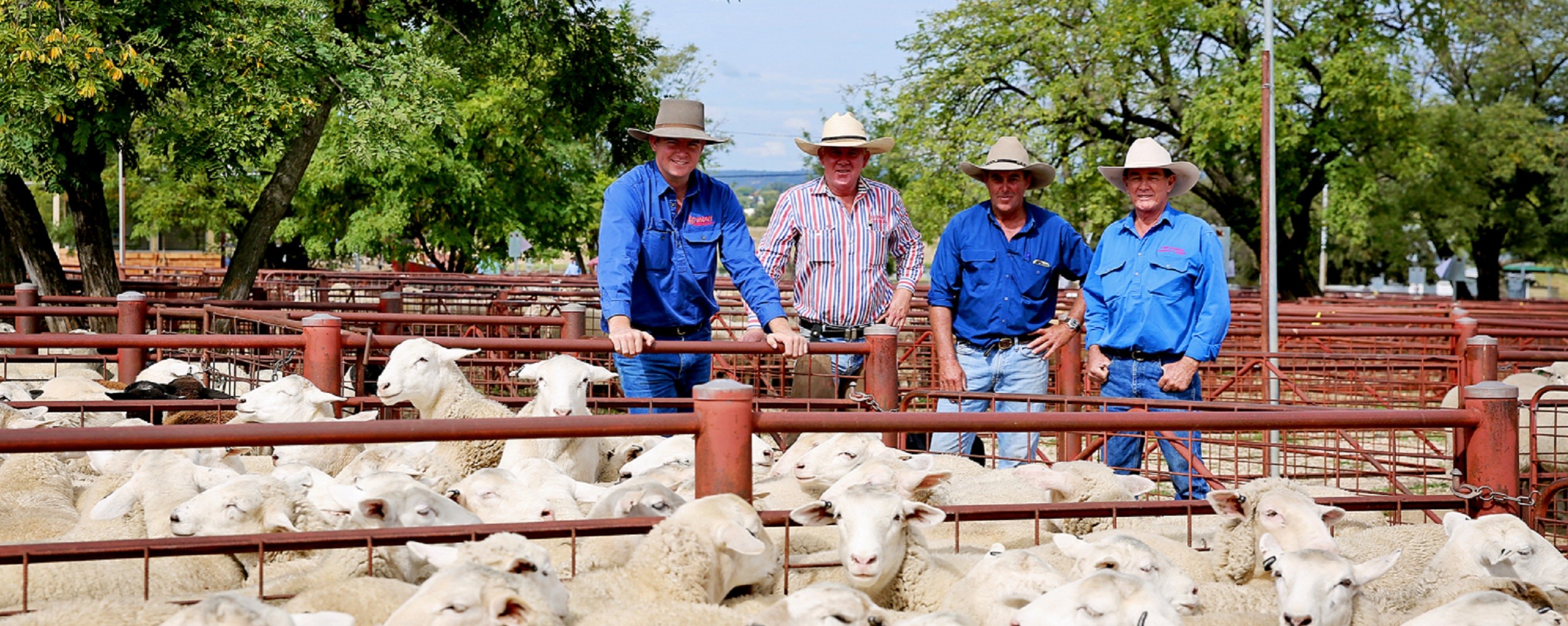 Lehman Stock and Property - Inverell Livestock Sales